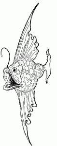 Vintage Fish Drawing - ReusableArt.com