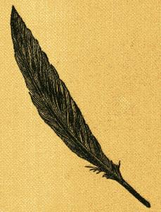 Black Feather Drawing - ReusableArt.com