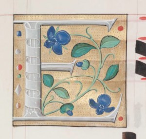 Illuminated Letter E - ReusableArt.com