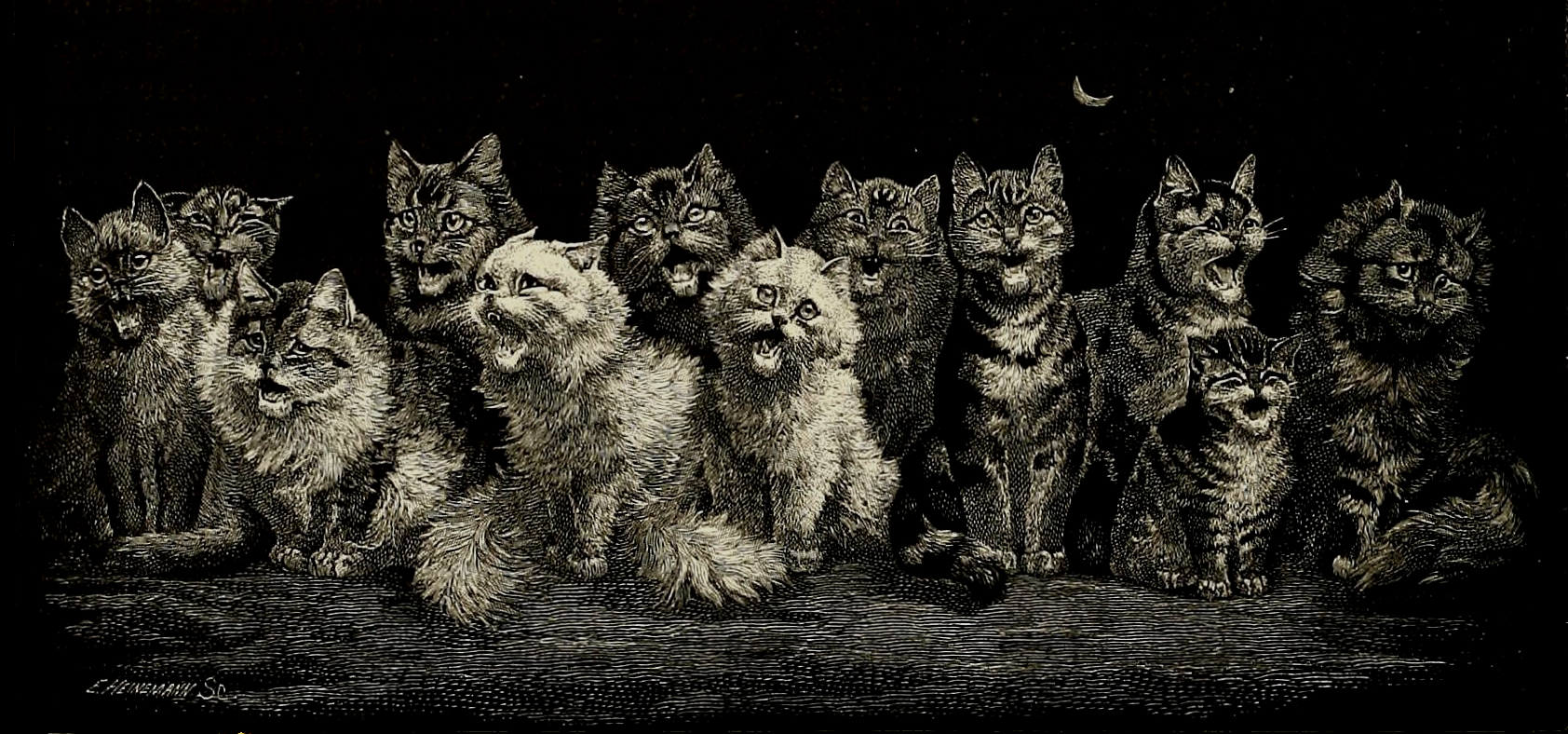 Cat Chorus - ReusableArt.com