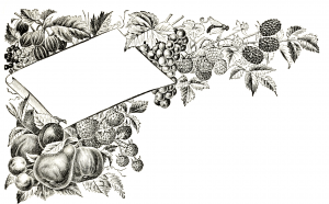 Vintage Fruit Heading Graphic with Message Box for Your Text