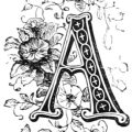 Fancy Letter Images